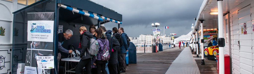Stall Catchers @ British Science Festival
