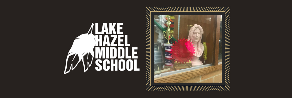 Stall Catchers trophy displayed proudly at Lake Hazel Middle School 💜